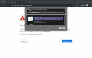 Chrome「NET::ERR_CERT_COMMON_NAME_INVALID」の無視・対処法【自己証明書エラー】 | 最速エリア｜WiMAXのプロ監修！わかりやすいネットの教科書